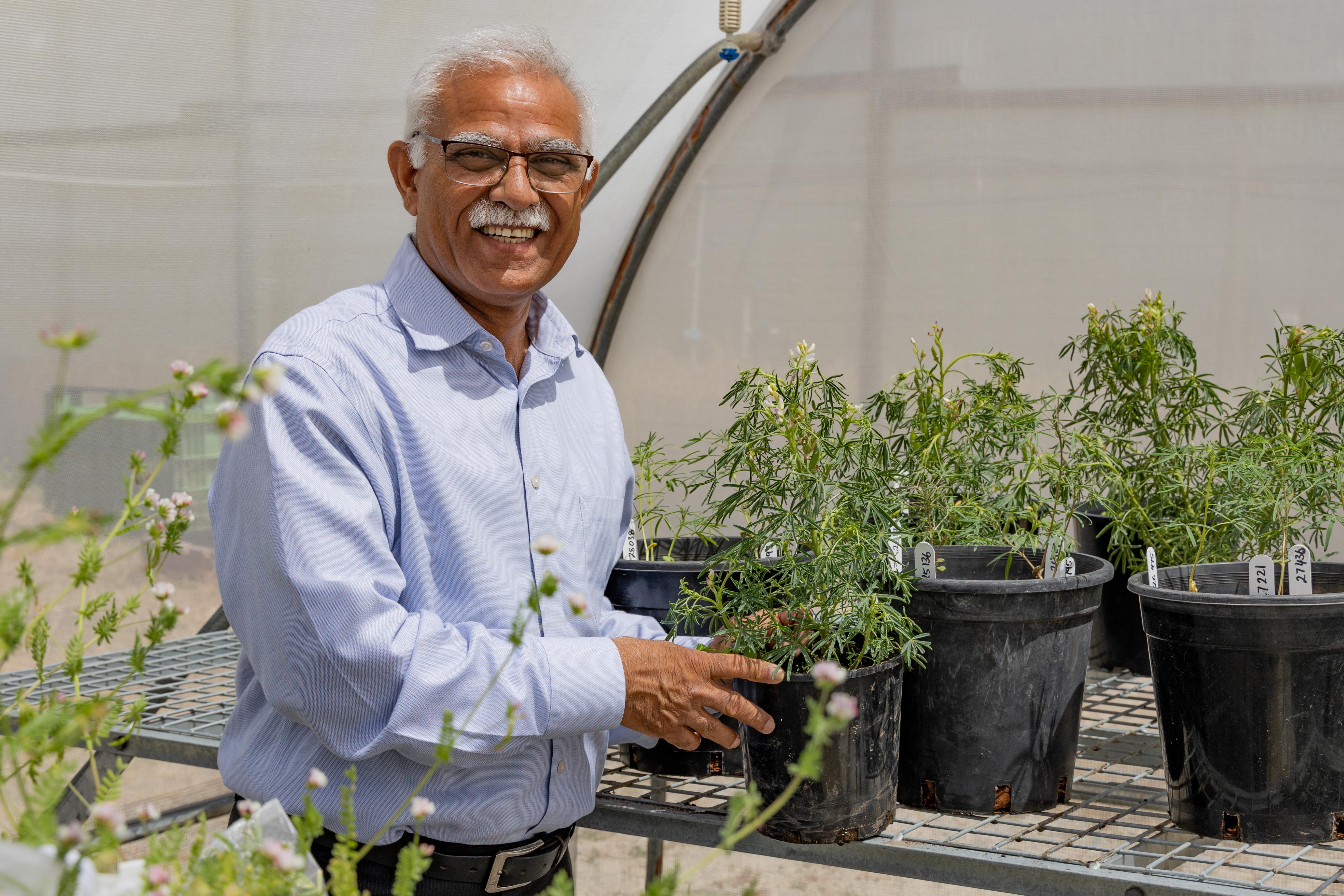 WA Agricultural Research Collaboration | Department of Primary ...