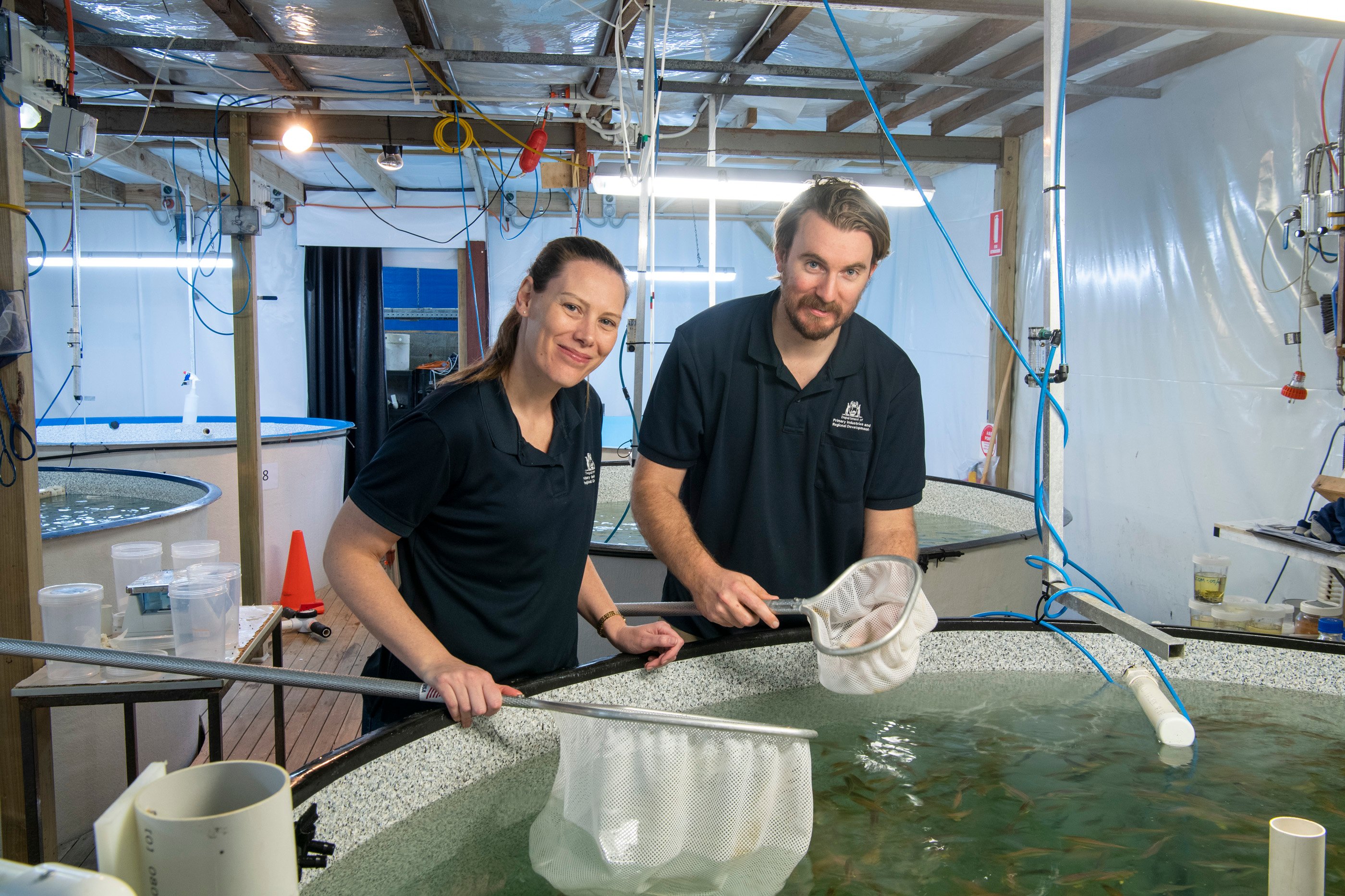 Aquaculture research and development in Western Australia | Department ...