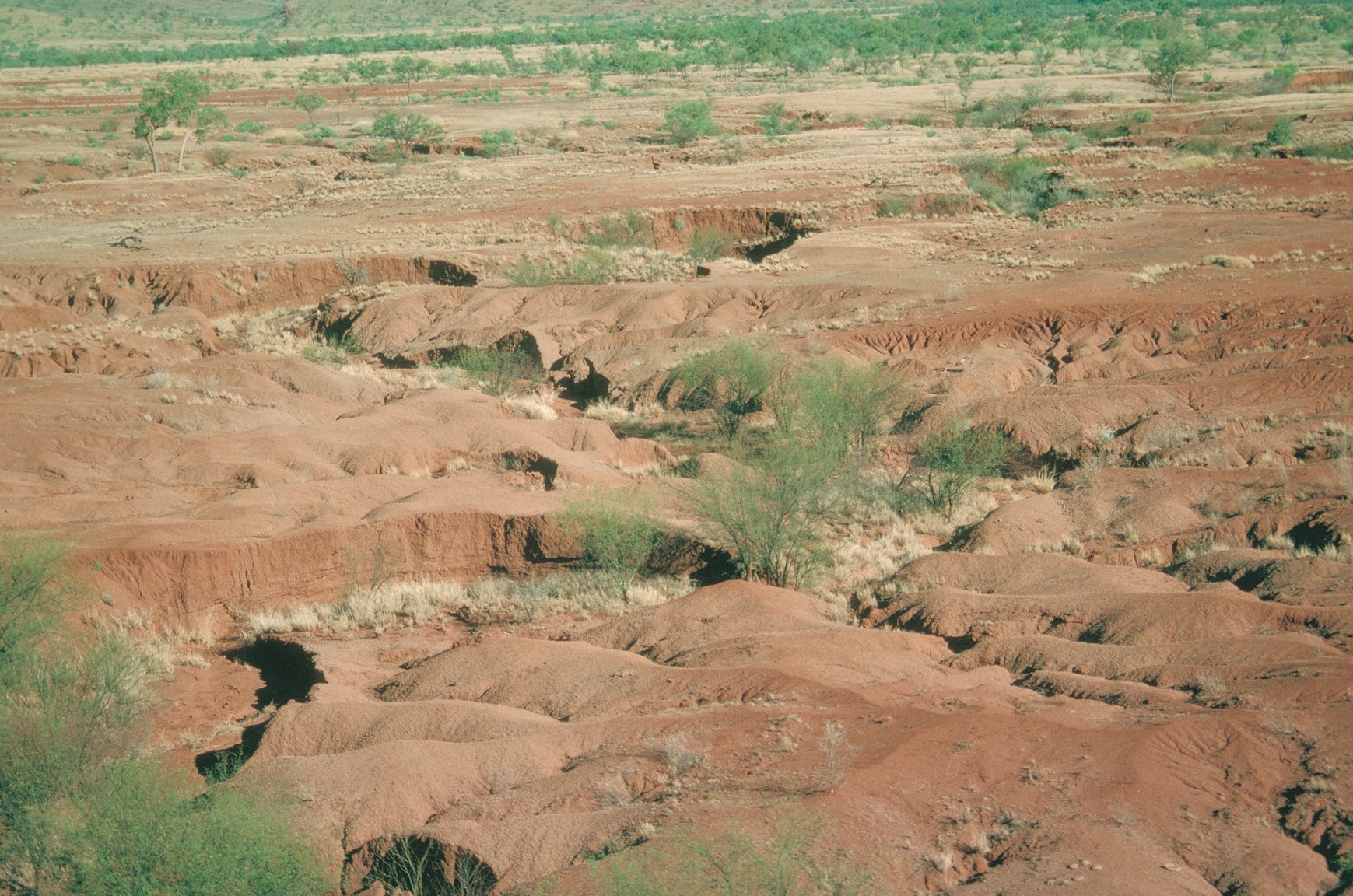 Hydro Guide interactive map | Department of Primary Industries and ...